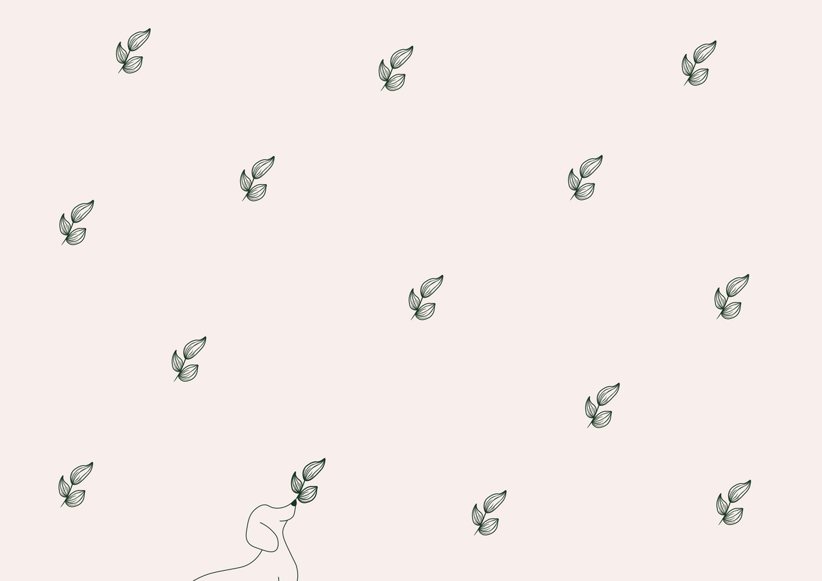 B'Leaf Plants – B'Leaf Plant Shop
